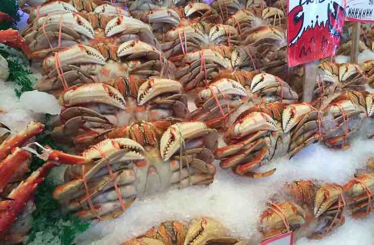 A Guide to Eating Fresh Lobster: Tips for Enjoying the Perfect Lobster ...
